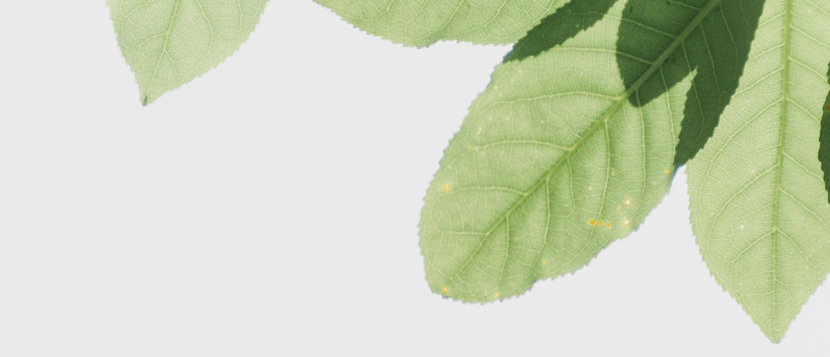 WORK – Jennifer Easterday